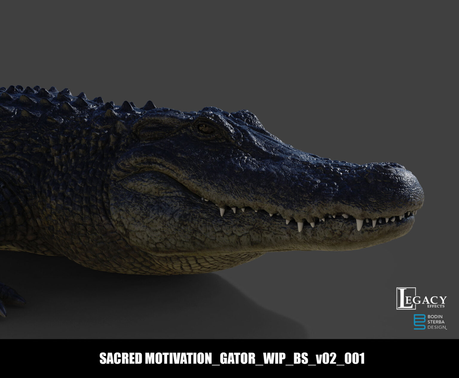 Recent Work | BODIN STERBA DESIGN